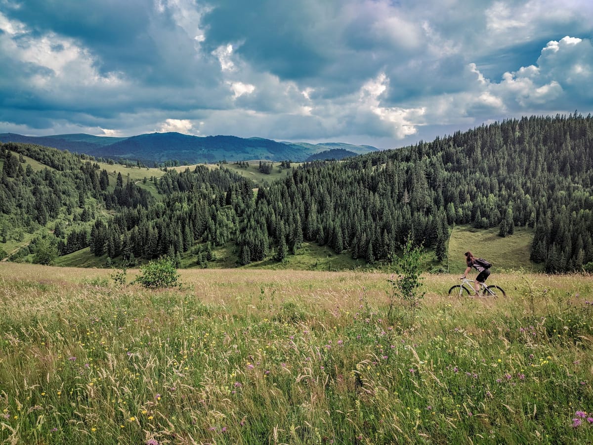 Cykelsemester i Sverige